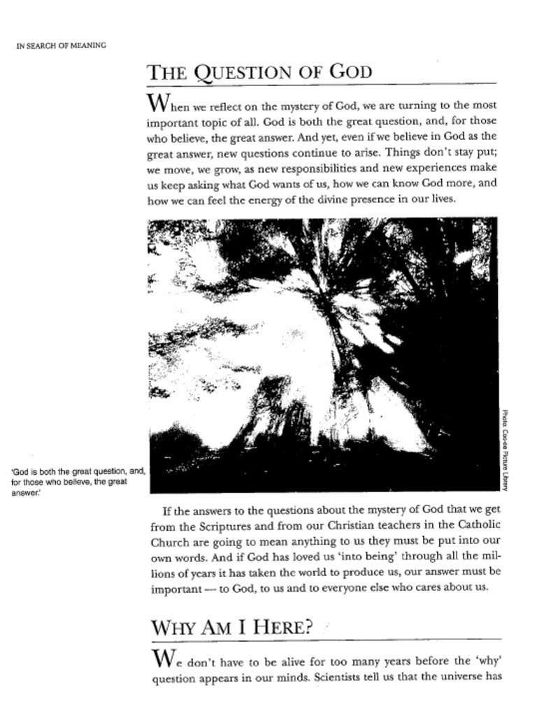 The Question of God | PDF