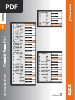 Violin String Selection Guide | PDF | Violin | Gaiaphones