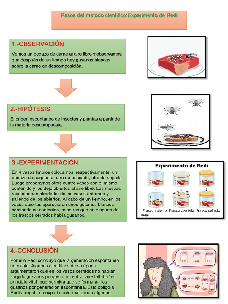 Pasos Del Metodo Cientifico | PDF