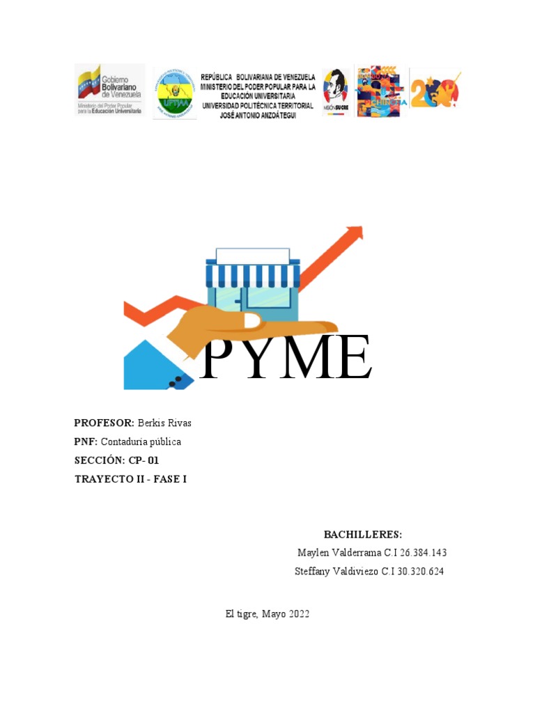 Pymes Pequeñas y Medianas Empresas | PDF | Pequeñas y medianas empresas ...