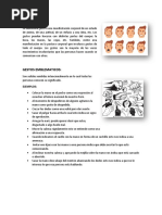 Tipos de Gestos Según Ekman | PDF | Comunicación no verbal | Comunicación