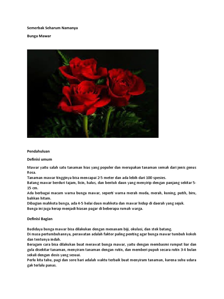 Aisyah Tugas Kelas7 Aisyah | PDF