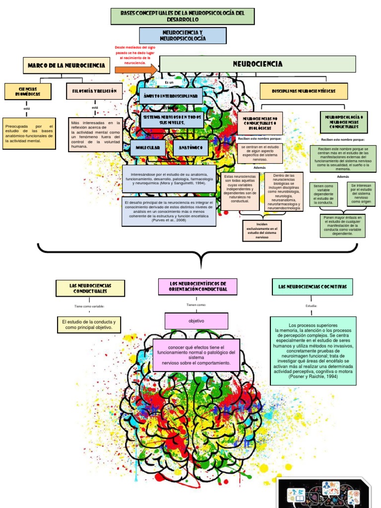 Mapa Conceptual Neurociencia | PDF | Neuropsicología | Neurociencia