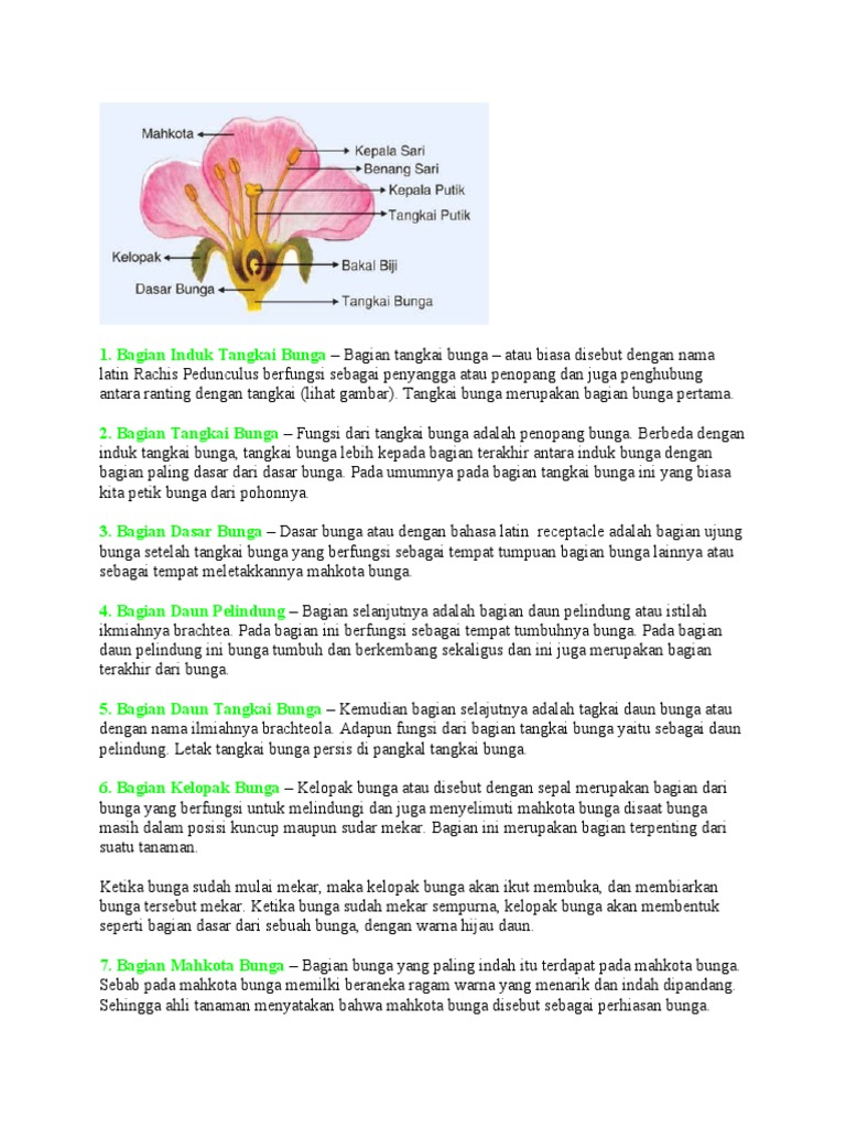 Bunga Sempurna Dan Tidak Sempurna | PDF