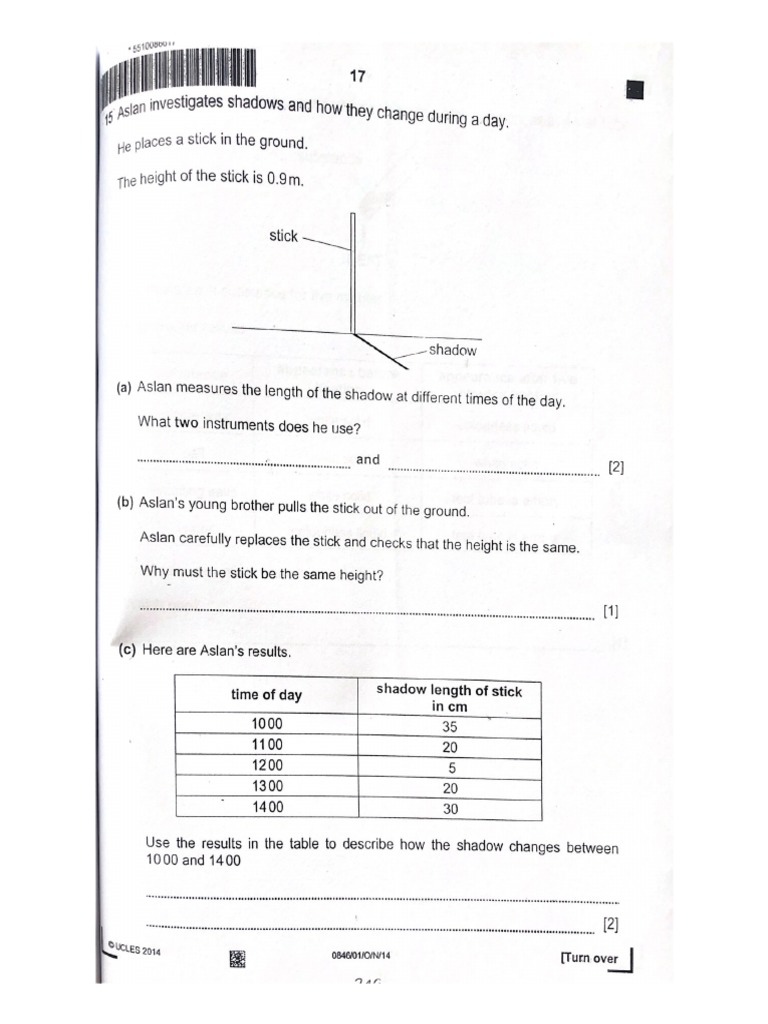 Review Materials 4 | PDF