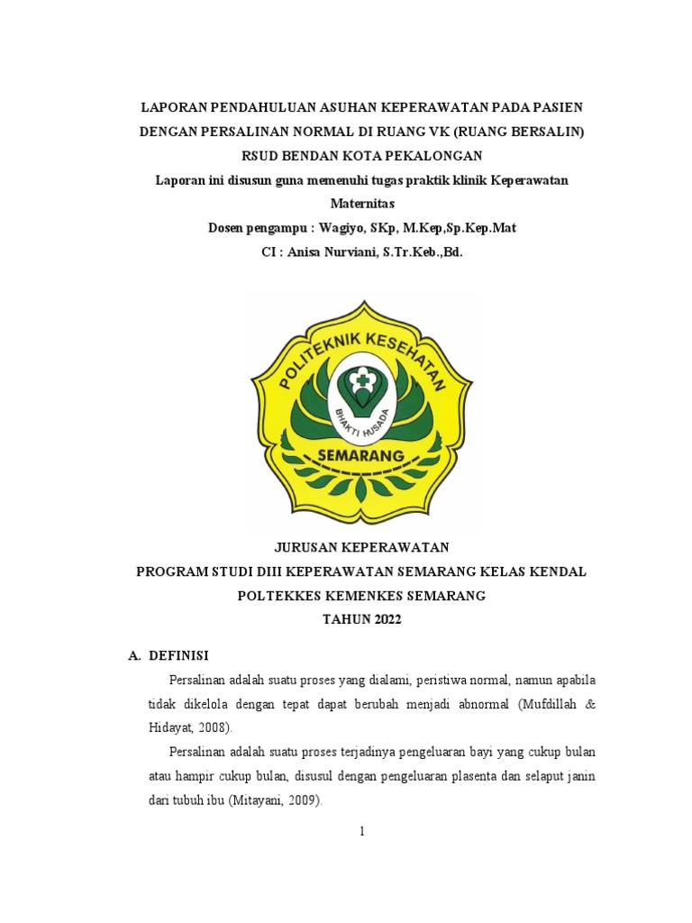 LP Persalinan Normal | PDF