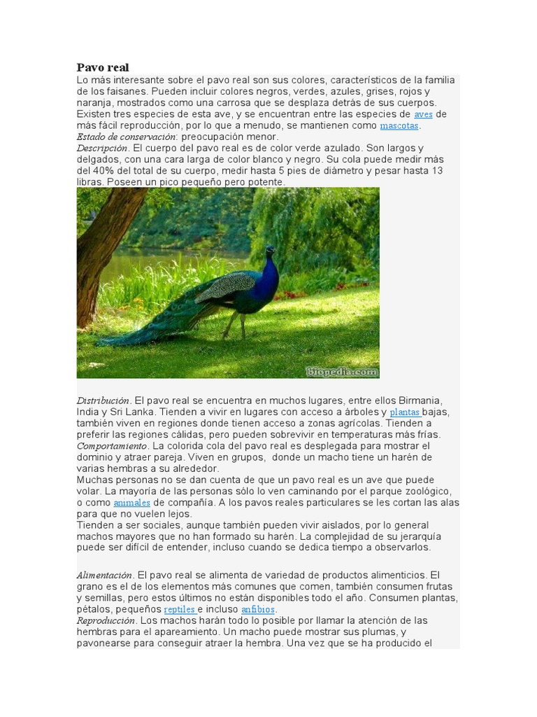 Pavo Real | PDF | Aves | Ornitología