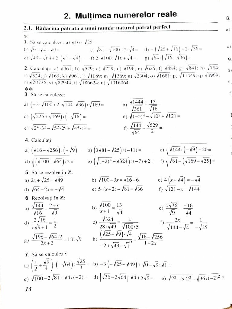 Radicali Exercitii | PDF