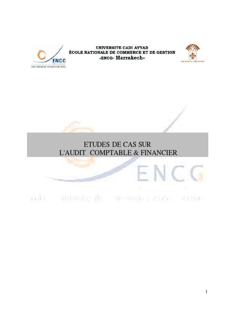 Audit Comptable et Financier : Études de Cas | PDF | Chèque | Banques