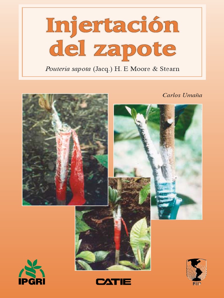 Injertacion Del Zapote | PDF | Injerto | Plantas