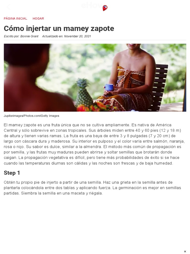 Cómo Injertar Un Mamey Zapote | PDF | Injerto | Semilla