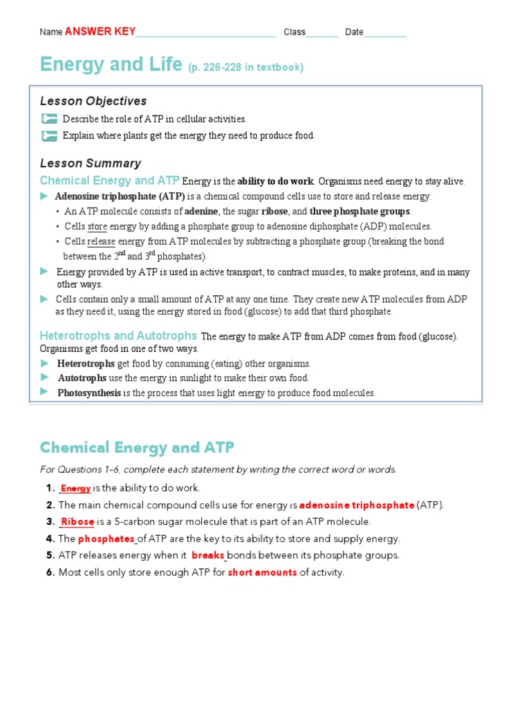 ATP and Energy in Cellular Life | PDF | Adenosine Diphosphate ...