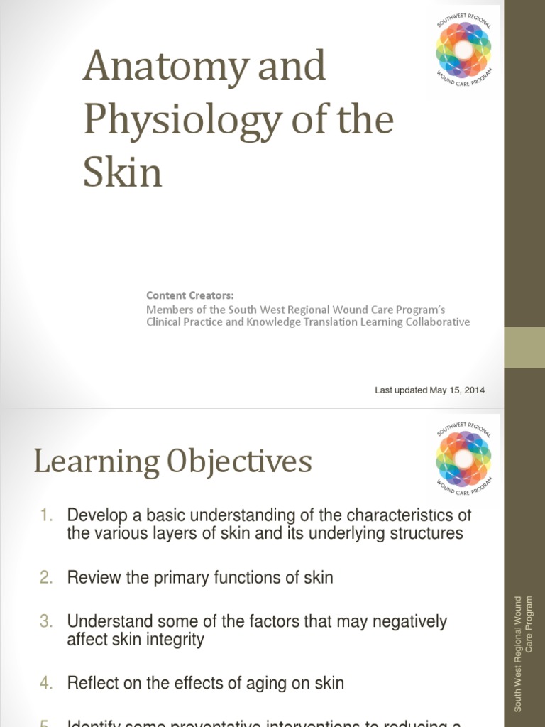 Anatomy and Physiology of The Skin | PDF | Skin | Anatomy