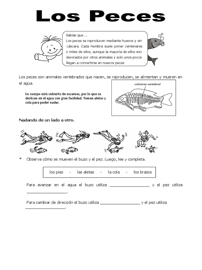 Los Peces | PDF | Pescado | Animales acuáticos