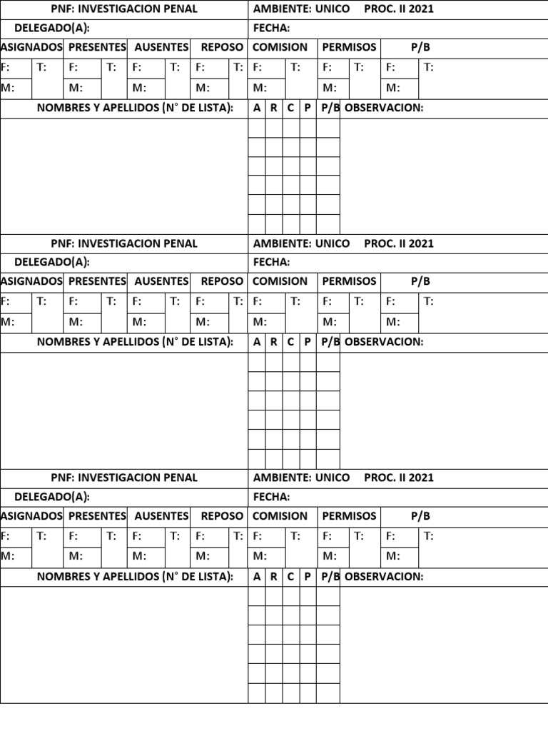 Formato Rapiparte | PDF