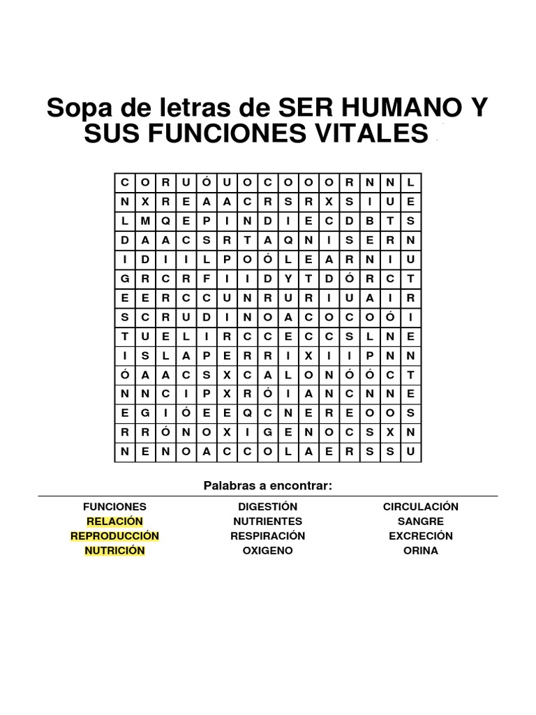 Sopa de Letras de Función de Nutrición - 32 | PDF | Fisiología ...