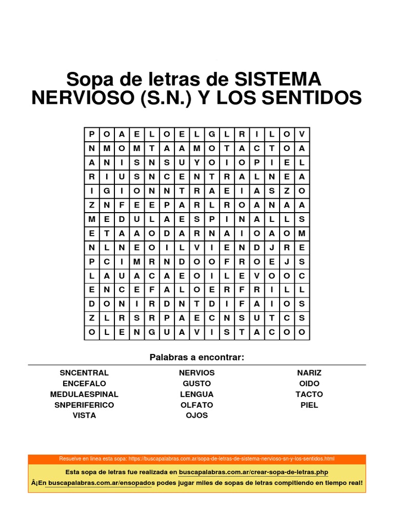Sopa de Letras de Sistema Nervioso SN y Los Sentidos | PDF | Ciencia ...