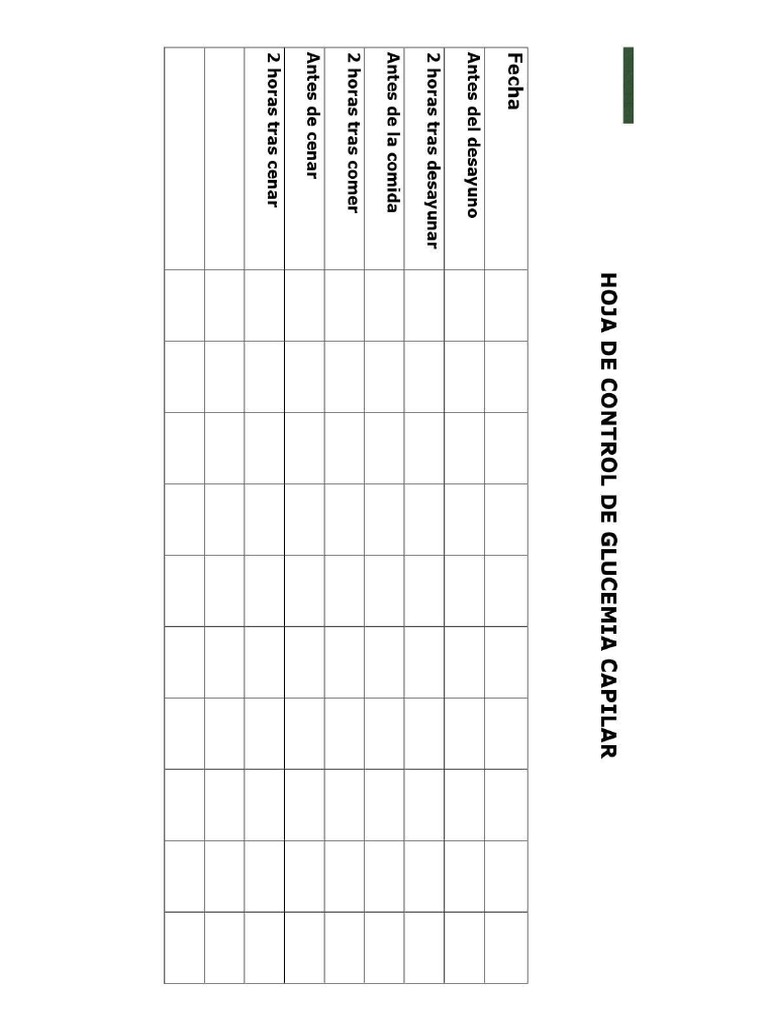 Hoja Control de Glucemia | PDF