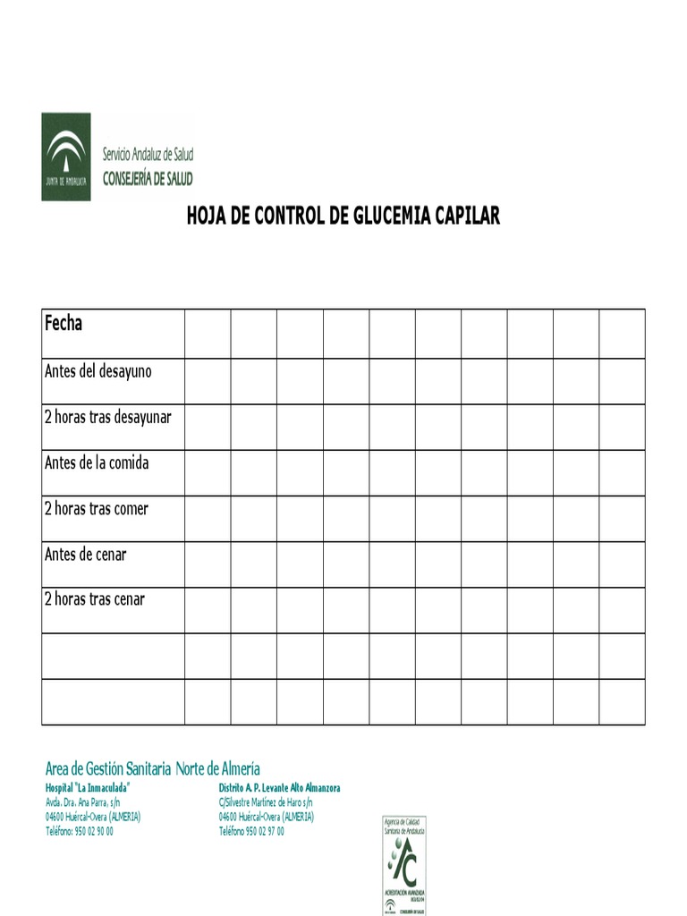 Hoja Control Glucemia | PDF