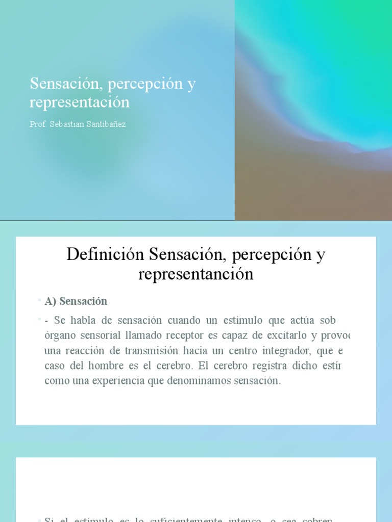 Sensación y Percepción: Definiciones Clave | PDF | Percepción | Alucinación