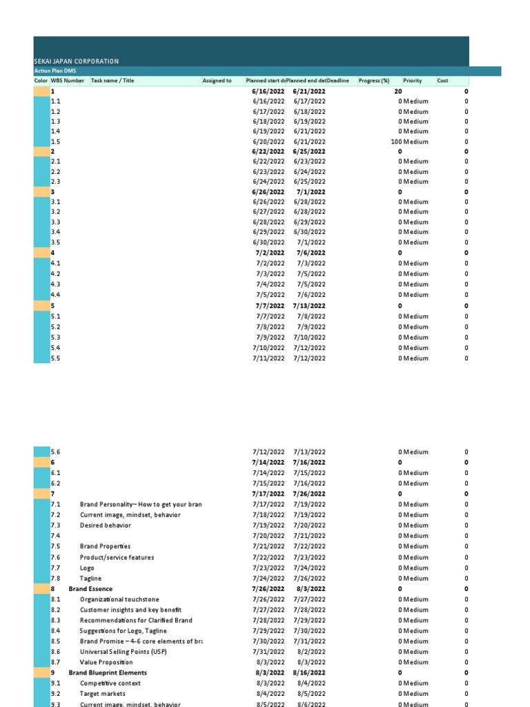 Action Plan DMS | PDF | Return On Investment | Brand
