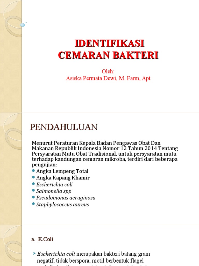 Identifikasi Bakteri | PDF