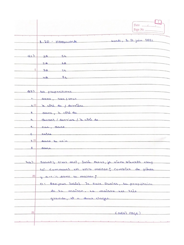 French Homework 1.1D | PDF