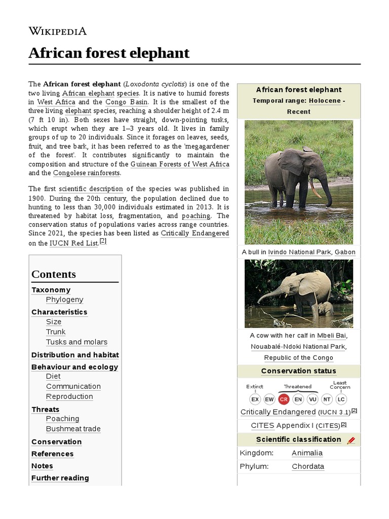 African Forest Elephant | PDF | Organisms
