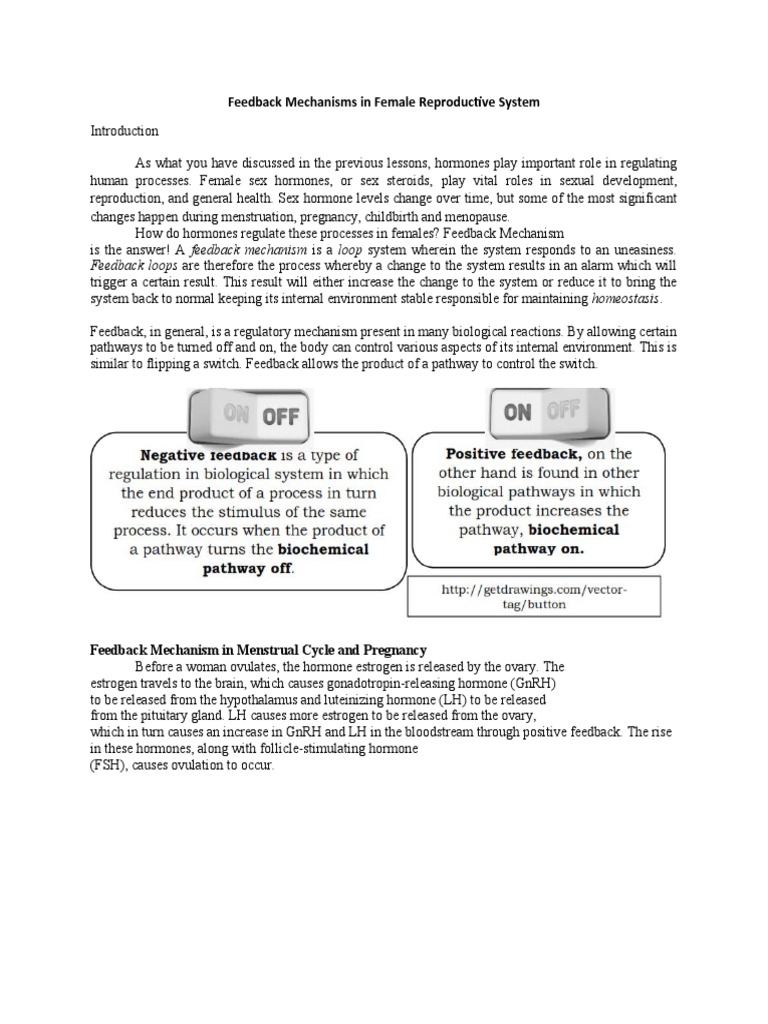 Feedback Mechanisms in Female Reproductive System | PDF | Luteinizing ...