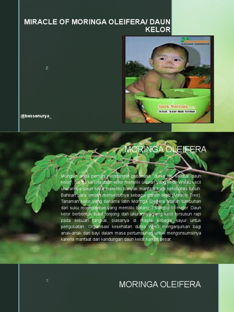 Moringa Oleifera | PDF