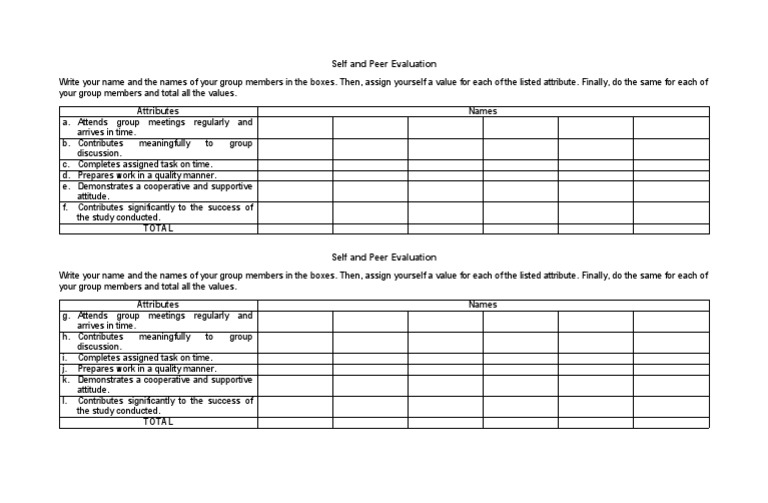 Self and Peer Evaluation Guide | PDF | Career & Growth