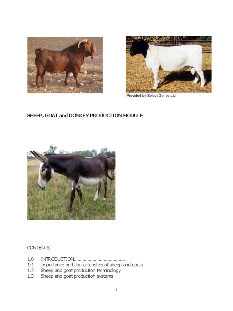 Goats and Donkeys Module | PDF | Sheep | Goat