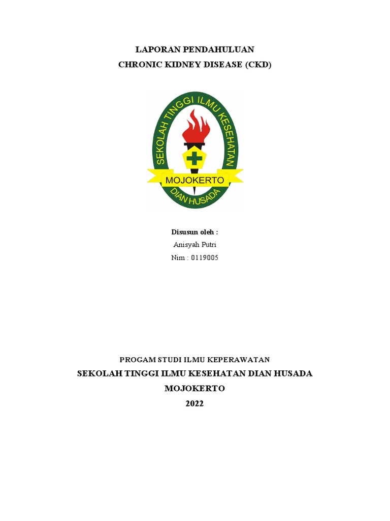 LP CKD | PDF
