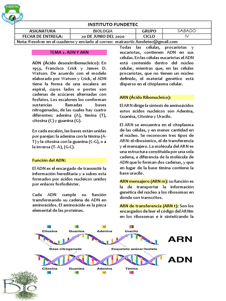 Tema 2.adn y Arn | PDF | Rna | Adn