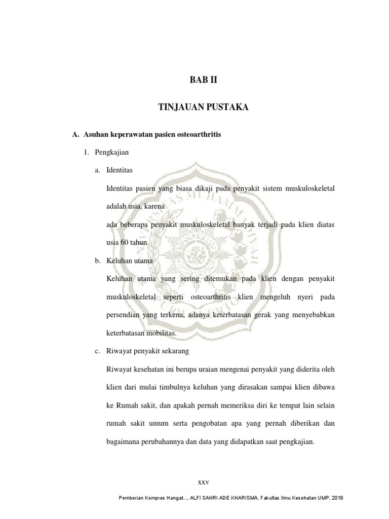 Alfi Sahri Ade Kharisma Bab II | PDF