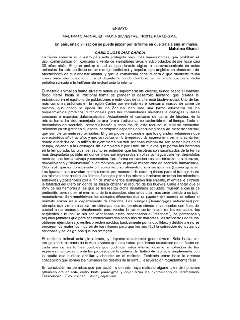 ENSAYO de Bienestar Animal - camiLO | PDF | Ciencia y matemáticas ...