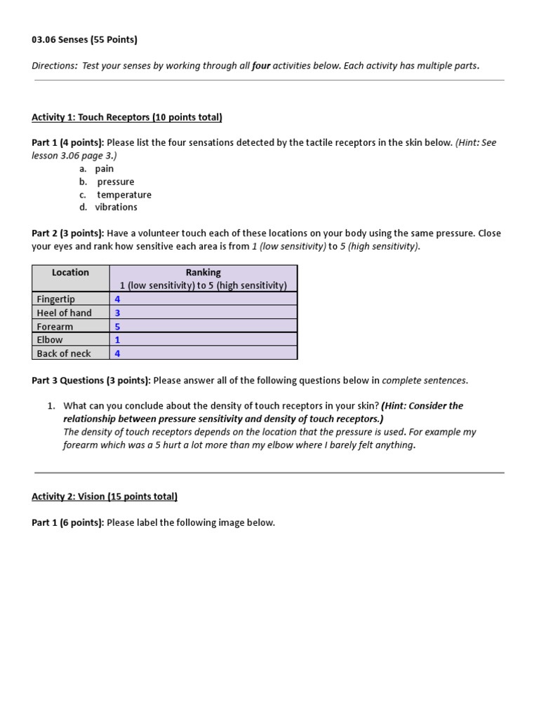 03.06 Assignment | Download Free PDF | Taste | Eye