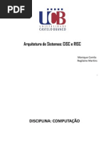 O Que É Arquitetura RISC e CISC e Suas Diferenças - Cap Sistema | PDF