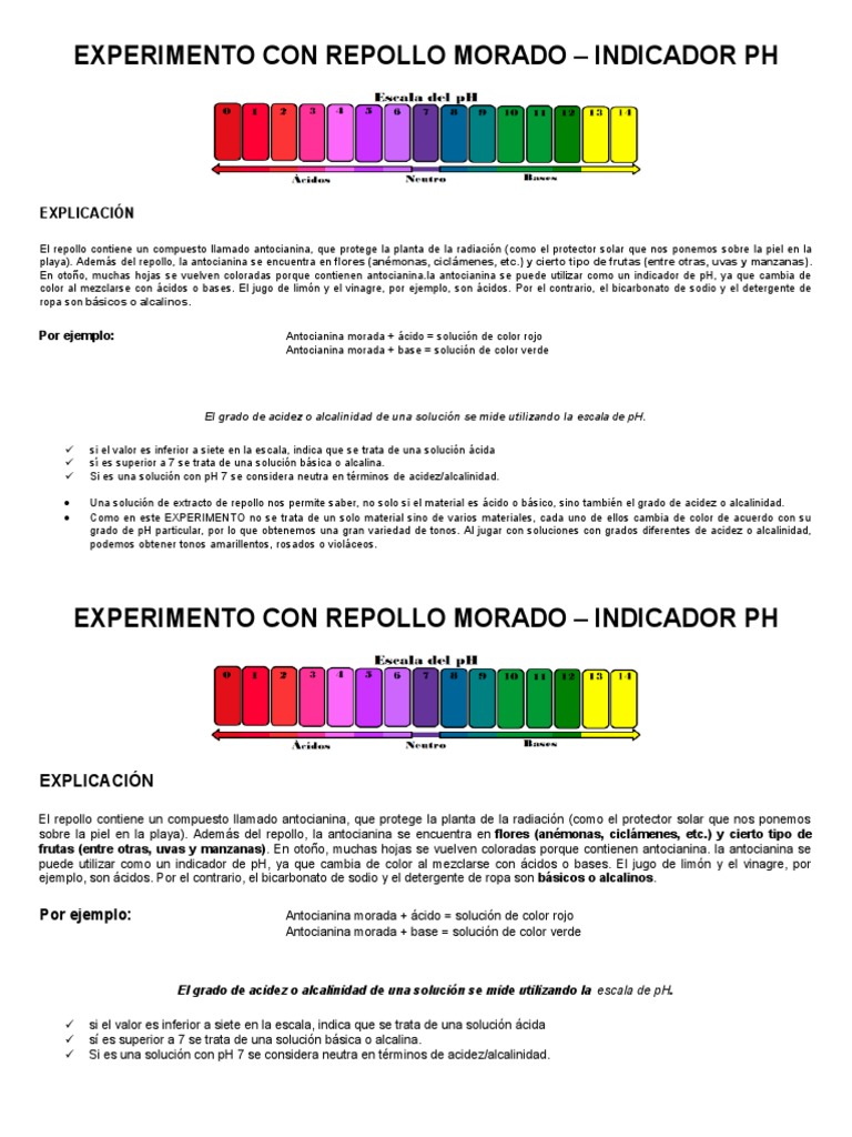Escala de pH con repollo morado | PDF | Ph | Color