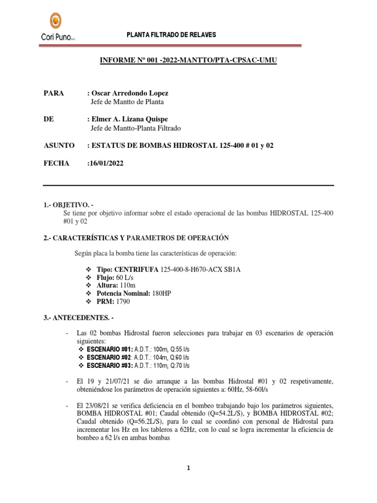 Informe N 001 - Bombas Hidrostal PFR - Rev A | PDF | Bomba