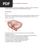 Neuroanatomy Mcqs | PDF | Spinal Cord | Brainstem
