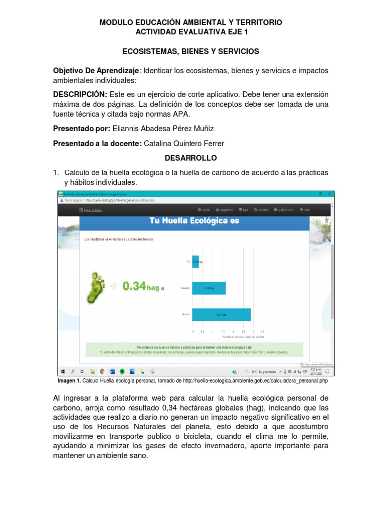 Eje 1. Ecosistemas - Bienes y Servicios | PDF | Ecología | Los bosques