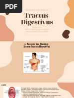 Thorax PA, AP Dan Lateral, RLD Dan LLD | PDF