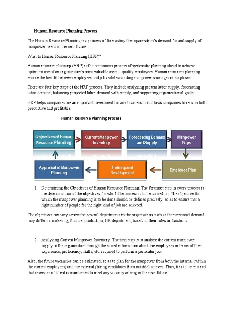 Human Resource Planning Process | PDF | Human Resources | Human ...