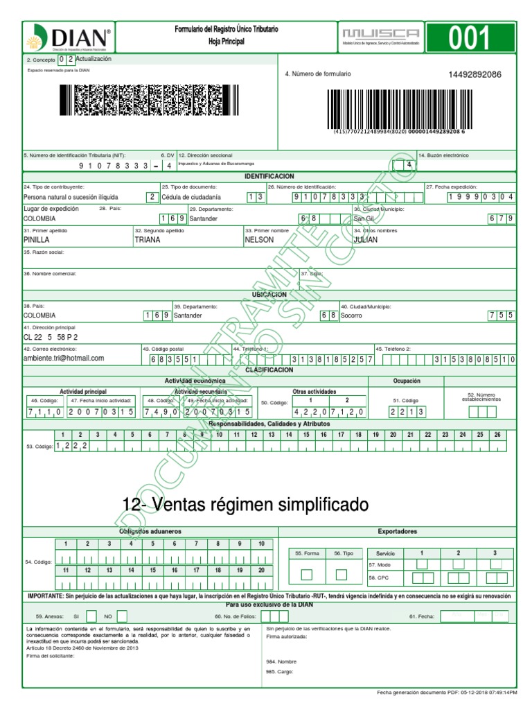 RUT Actualizado | PDF