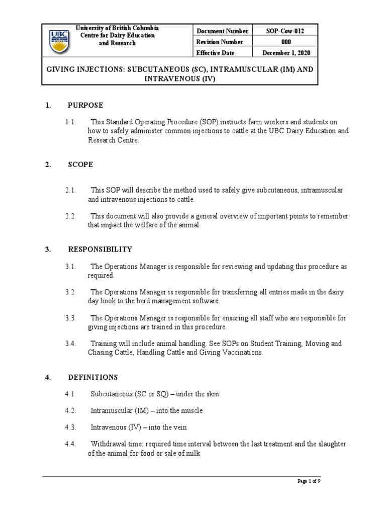 Cattle Injection Techniques SOP | PDF | Injection (Medicine ...