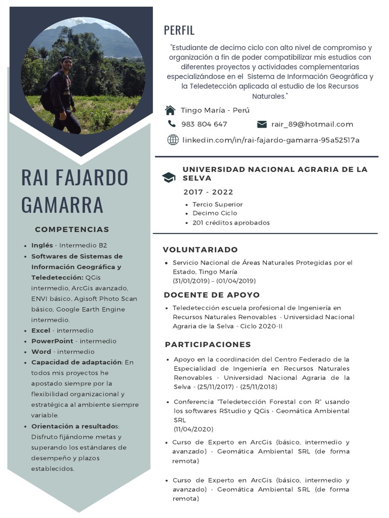 CV Rai Fajardo Gamarra | PDF | Sensores remotos