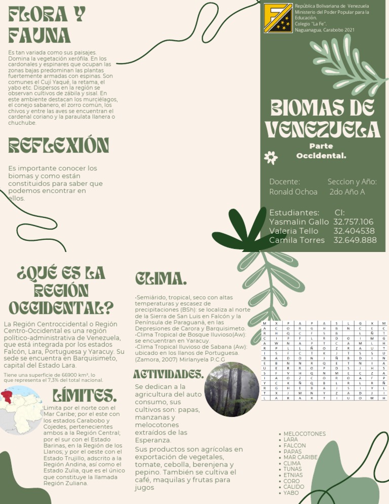 Folleto o Tríptico de Biomas de Venezuela | PDF | Fenómenos de la ...