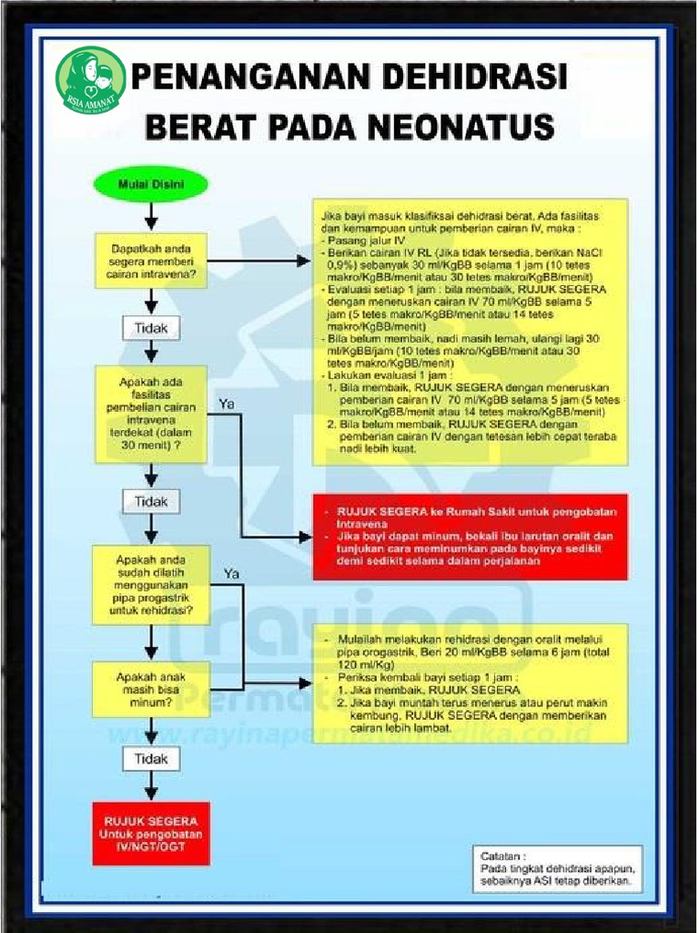 ALGORITMA Dehidrasi Berat Neonatorum | PDF
