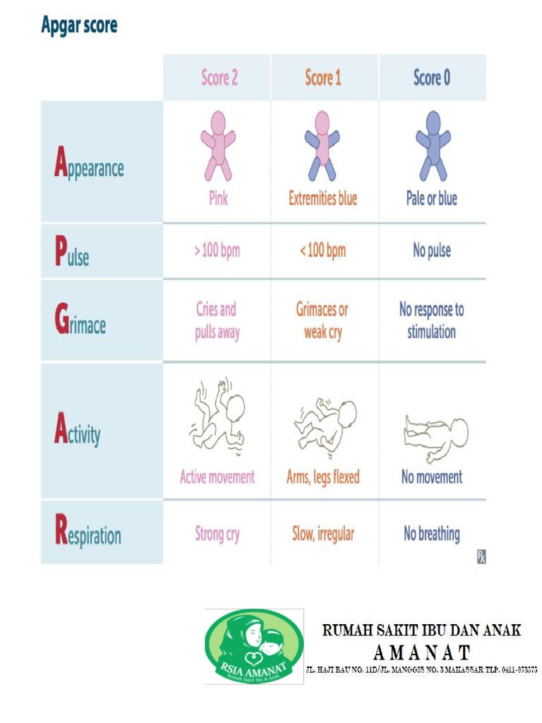 Apgar Skore | PDF